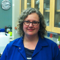 Scientists discover a protein that silences the biological clock - News