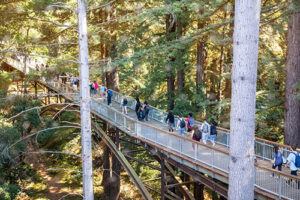 Estimated $20 million gift to UC Santa Cruz for undergraduate scholarships to support ...