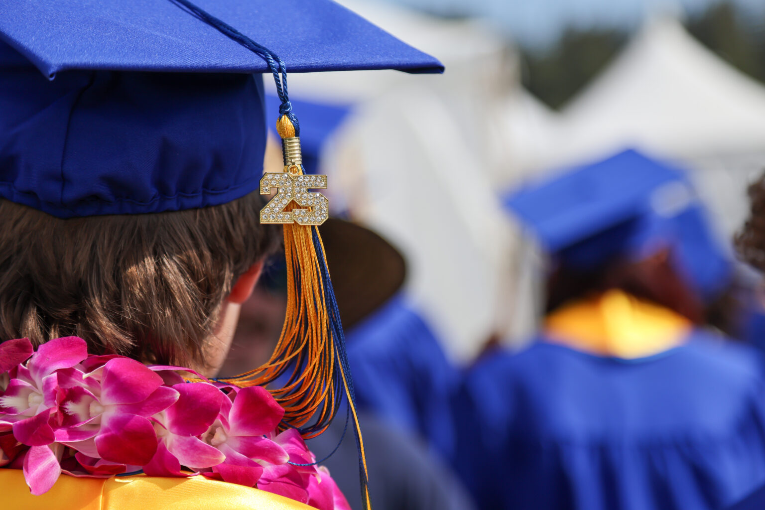 Celebrating the Class of 2025: Innovators, advocates, and future ...