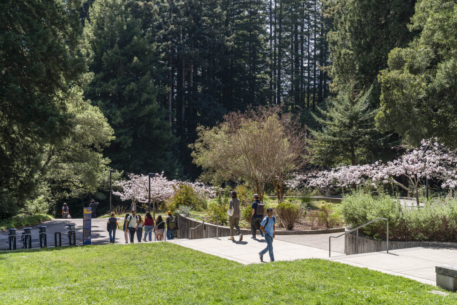 UC Santa Cruz’s new records fee model supports student access and ...