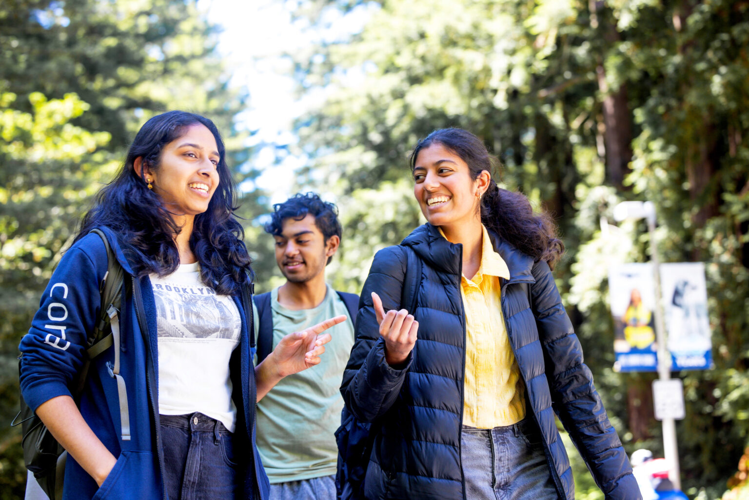 UC Santa Cruz earns high marks in Princeton Review rankings - News