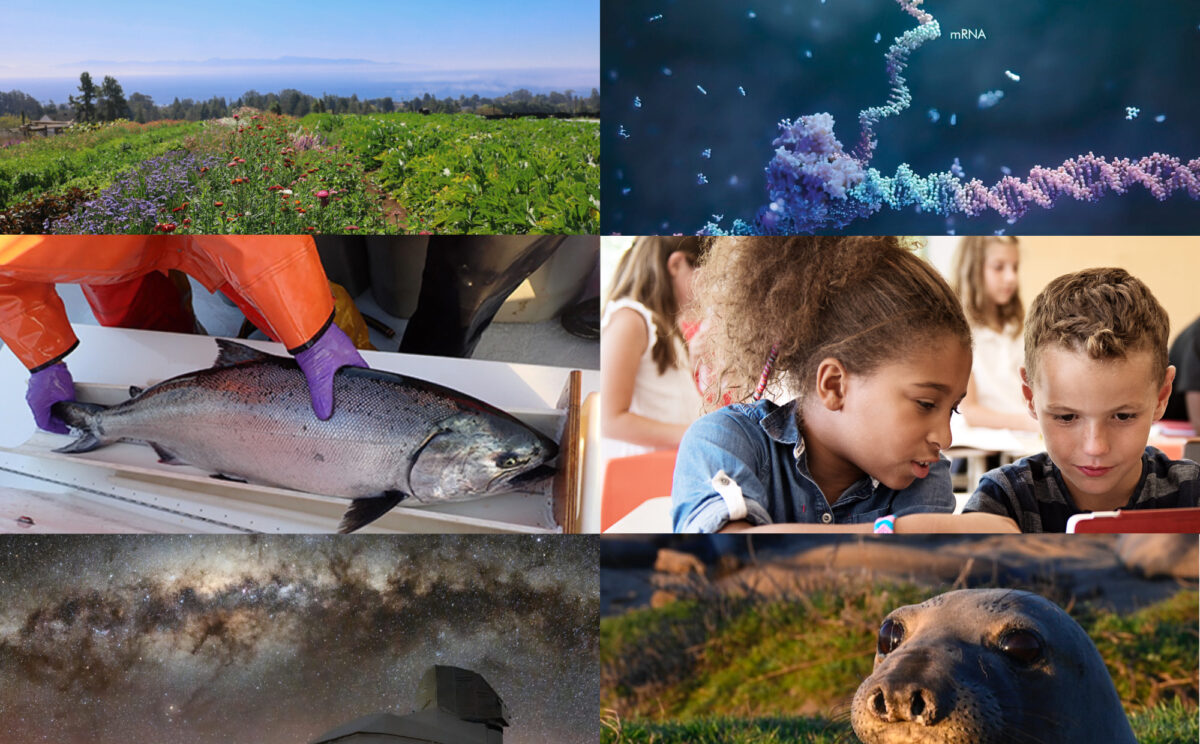 Earth & Planetary Sciences – Home of the UCSC Earth & Planetary ...