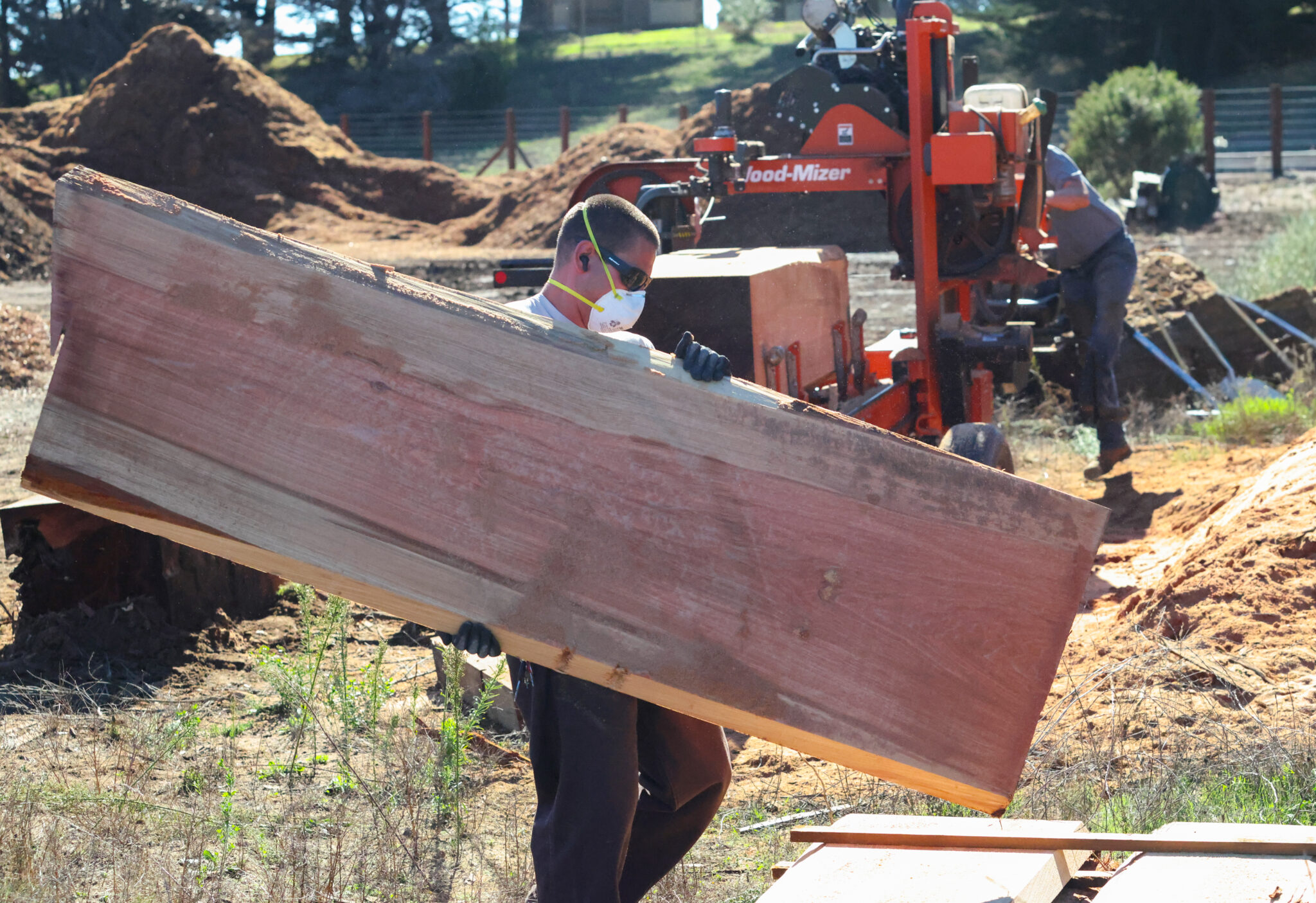UC Santa Cruz is giving fallen redwoods a second life - News